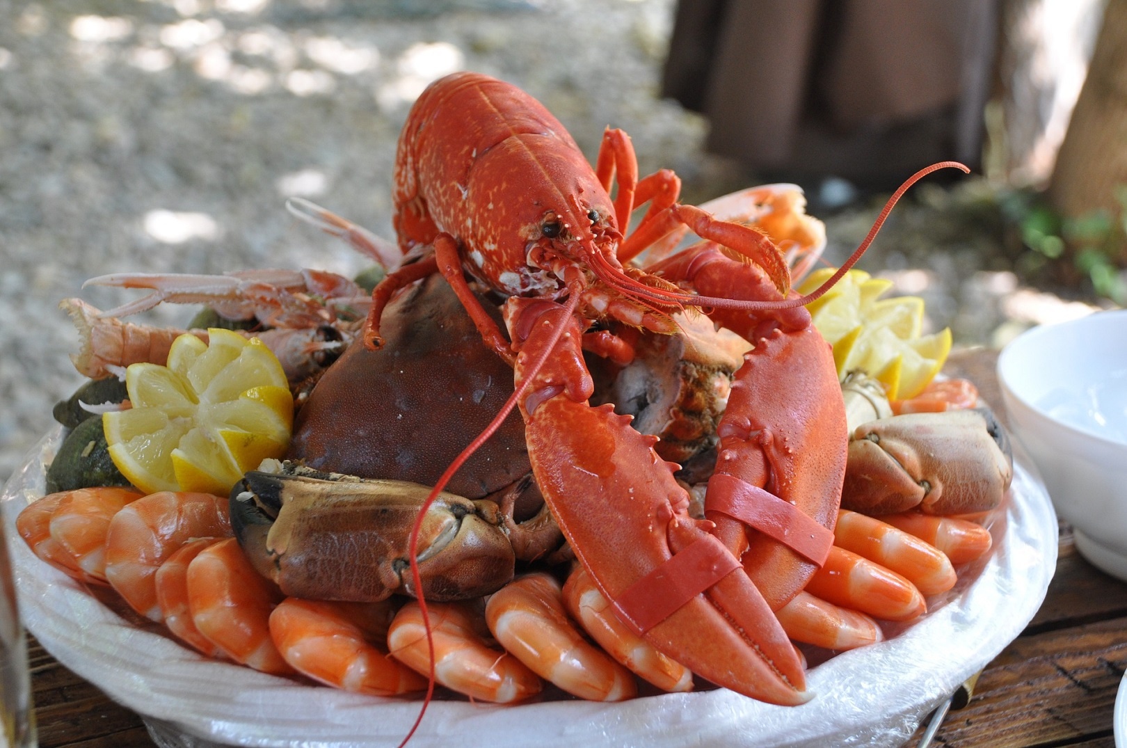 Productos - Mariscos - Congelados Casafrio